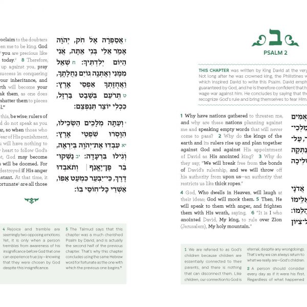 Tehillim – Psalms – Living Lessons | Torah Publications for Youth