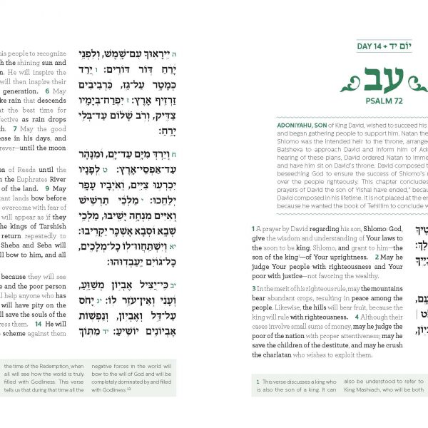 Tehillim – Psalms – Living Lessons | Torah Publications for Youth