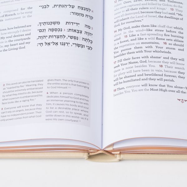 Tehillim – Psalms – Living Lessons | Torah Publications for Youth