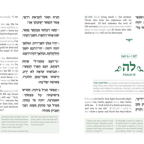 Tehillim – Psalms – Living Lessons | Torah Publications for Youth